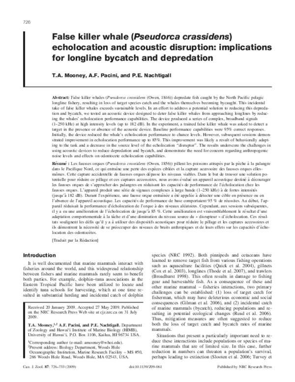 (PDF) False killer whale ( Pseudorca crassidens ) echolocation and ...