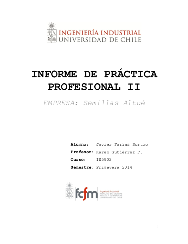 (PDF) INFORME DE PRÁCTICA PROFESIONAL II