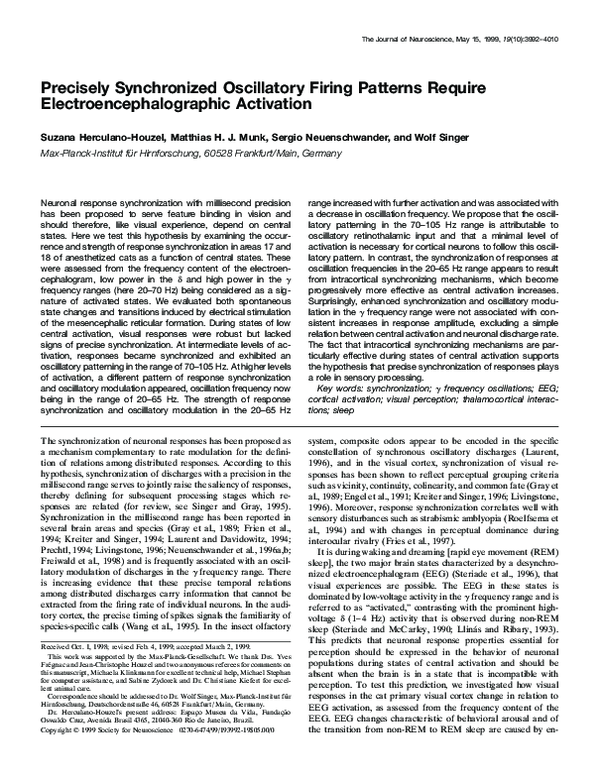 Pdf Precisely Synchronized Oscillatory Firing Patterns Require