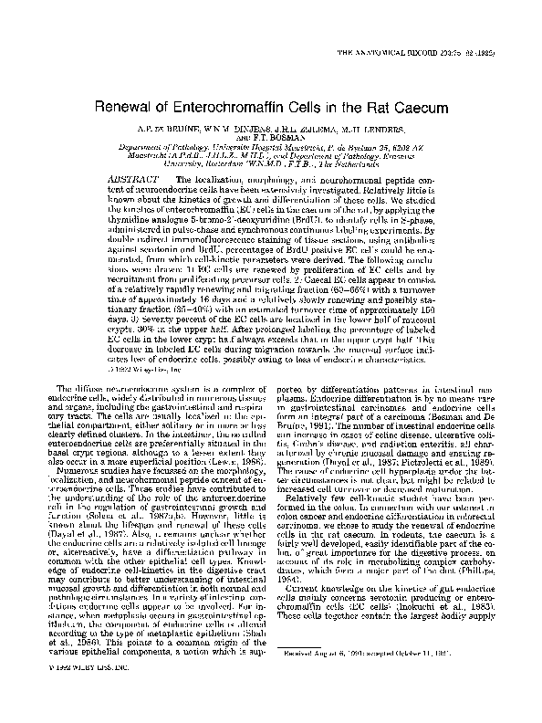 (PDF) Renewal of enterochromaffin cells in the rat caecum