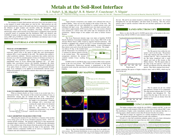 (PPT) 21. Metals at the Soil Root Interface