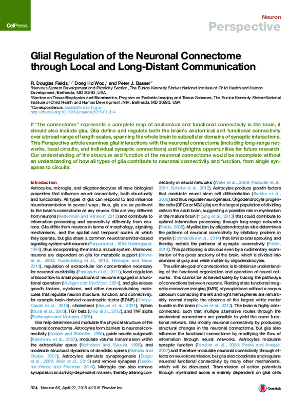 (PDF) Glial Regulation of the Neuronal Connectome through Local and ...