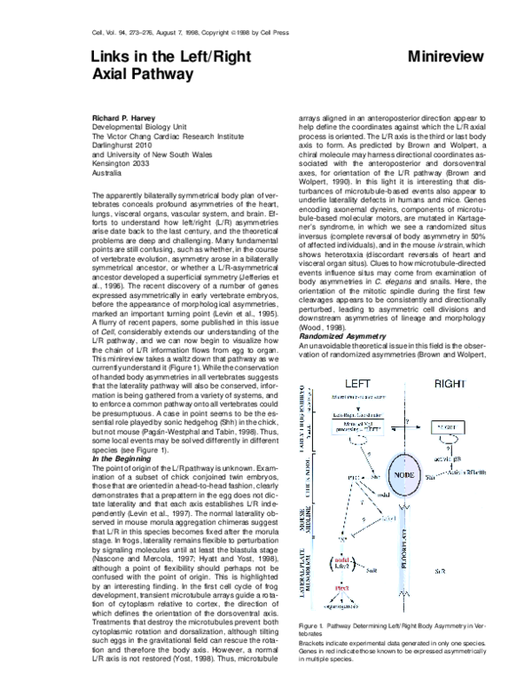 (PDF) Links in the Left/Right Axial Pathway