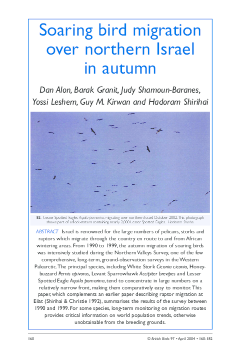 (PDF) Soaring-bird migration over northern Israel in autumn