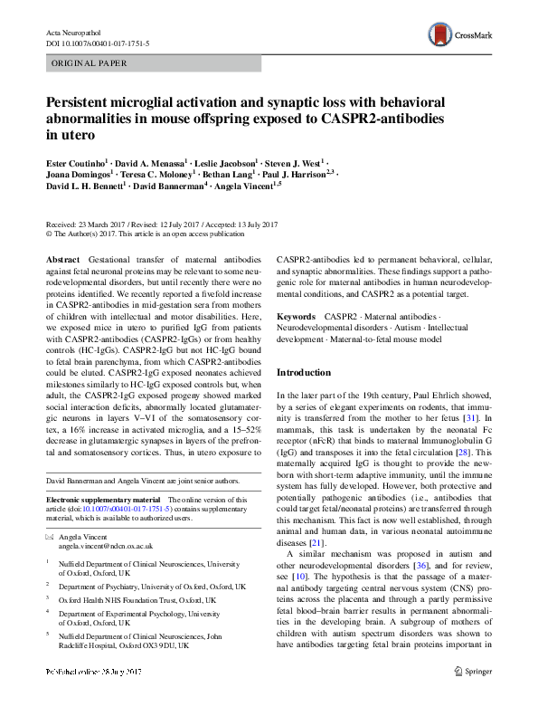 (PDF) Persistent microglial activation and synaptic loss with ...