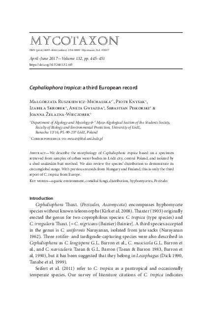 (PDF) Cephaliophora tropica: a third European record