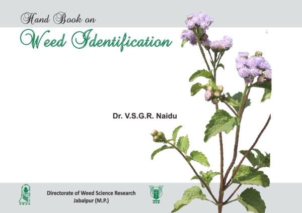 (PDF) Weed Identification.pdf