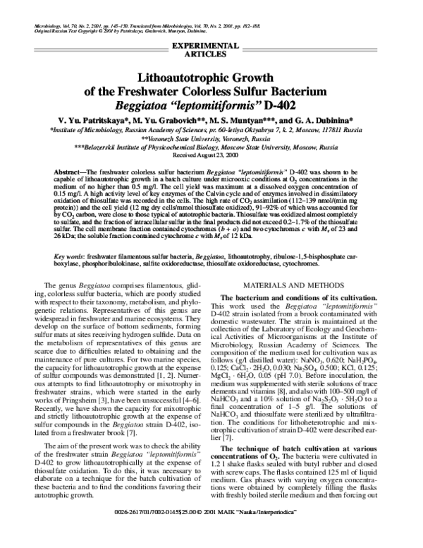 (PDF) Enumeration, Isolation, and Characterization of Beggiatoa from ...