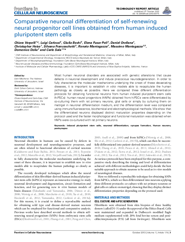 (PDF) Comparative neuronal differentiation of self-renewing neural ...