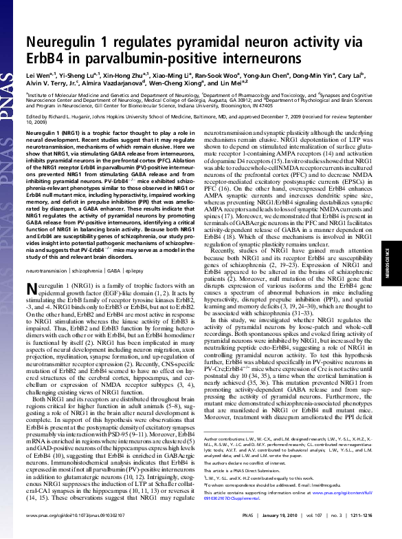 (PDF) Neuregulin 1 regulates pyramidal neuron activity via ErbB4 in ...