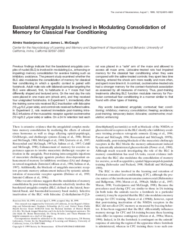 (PDF) Basolateral amygdala is involved in modulating consolidation of ...