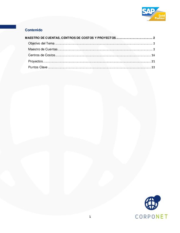 (DOC) . SAP B1 Maestro de Cuentas, Centros de Costos y Proyectos