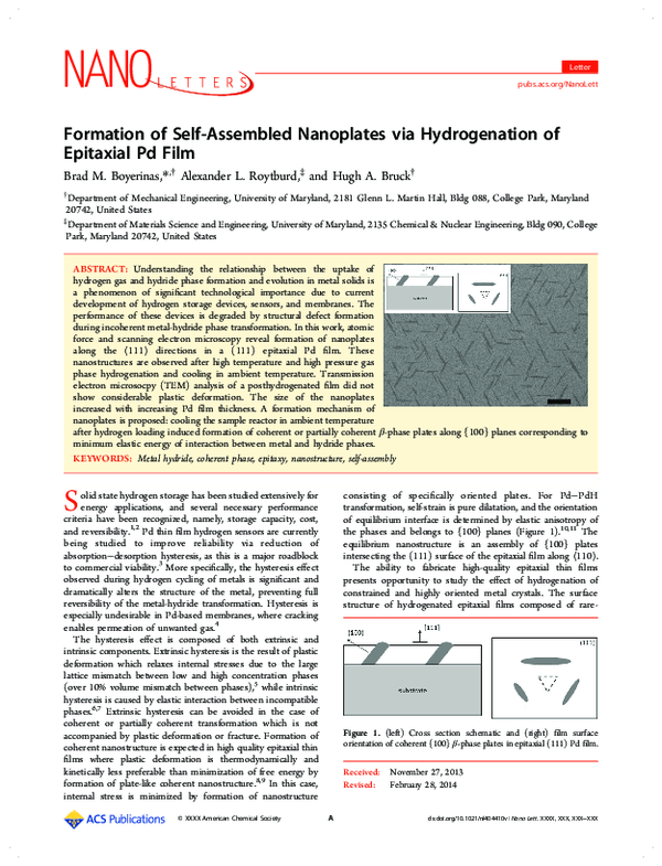 (PDF) Nano Letters paper.pdf