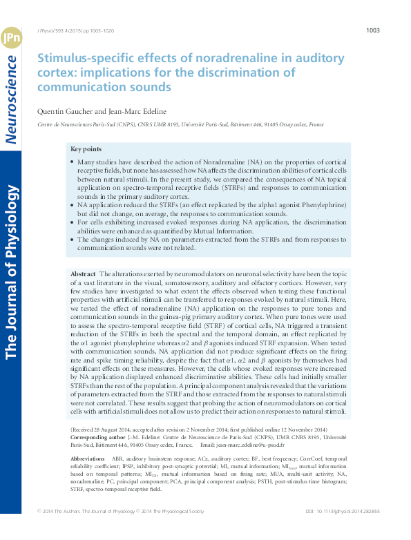 Pdf Stimulus Specific Effects Of Noradrenaline In Auditory Cortex Implications For The