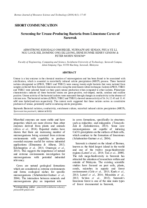 (PDF) Screening for Urease-Producing Bacteria from Limestone Caves of ...