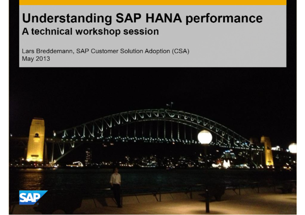 Pdf Understanding Sap Hana Performance Mohamed Bekkari