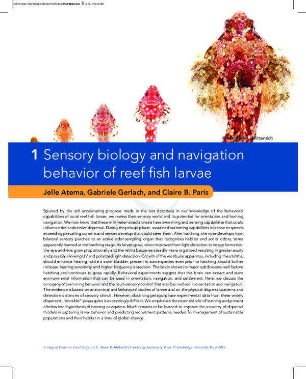 (PDF) Sensory biology and navigation behavior of reef fish larvae