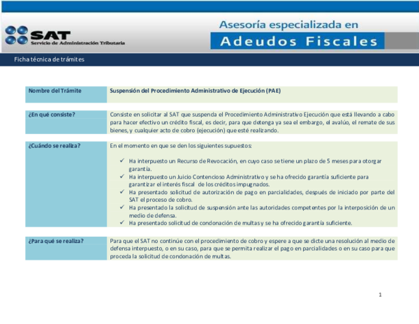 (PDF) Suspension del Procedimiento Administrativo de Ejecucion PAE