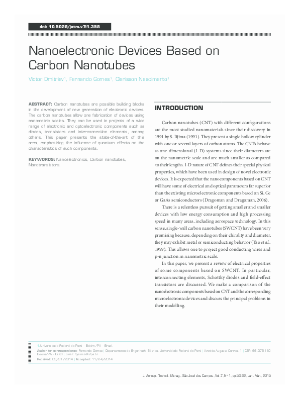 (PDF) Nanoelectronic Devices Based on Carbon Nanotubes
