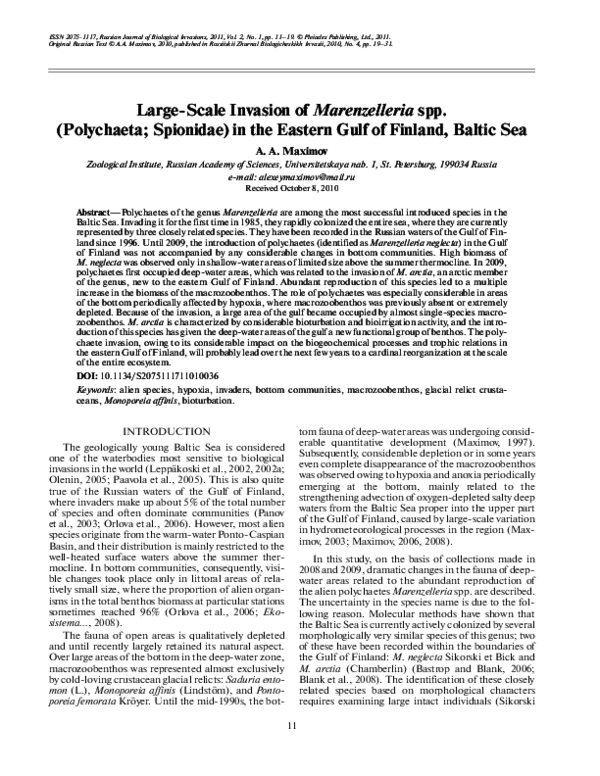 (PDF) Large-scale invasion of Marenzelleria spp. (Polychaeta; Spionidae ...