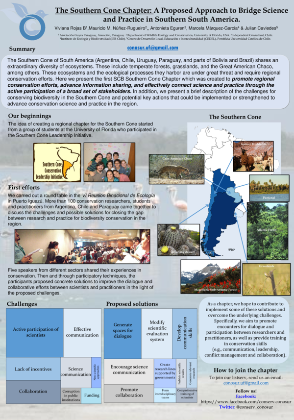 (PDF) The southern cone chapter: A proposed approach to bridge science ...