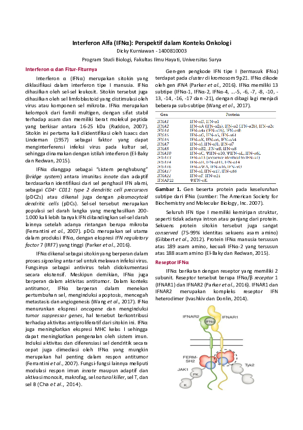 (PDF) Interferon Alfa (IFNα): Perspektif dalam Konteks Onkologi