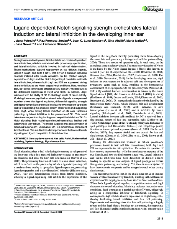 Ligand-dependent Notch signaling strength orchestrates lateral ...