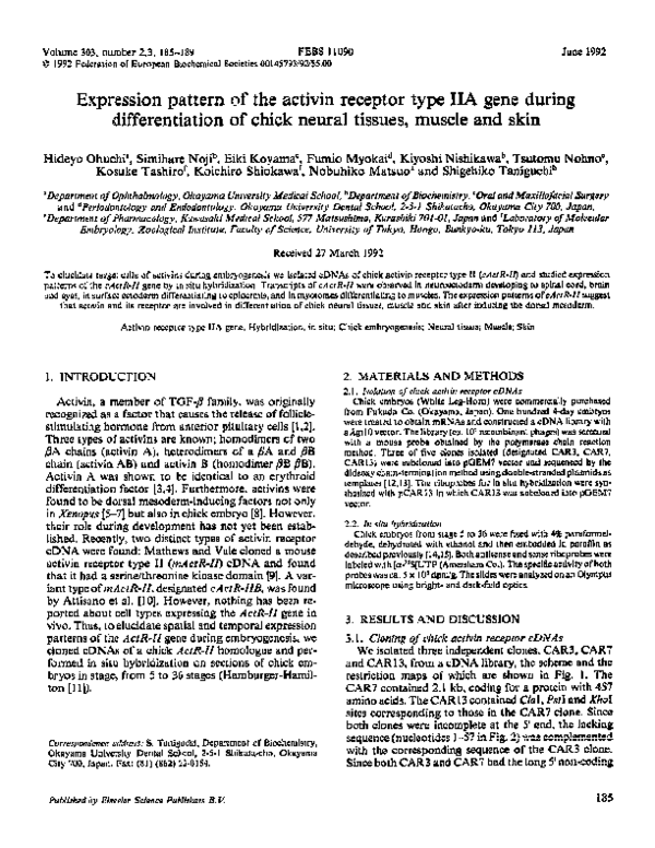 (PDF) Expression pattern of the activin receptor type IIA gene during ...