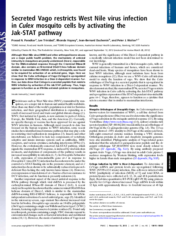 (PDF) Secreted Vago restricts West Nile virus infection in Culex ...