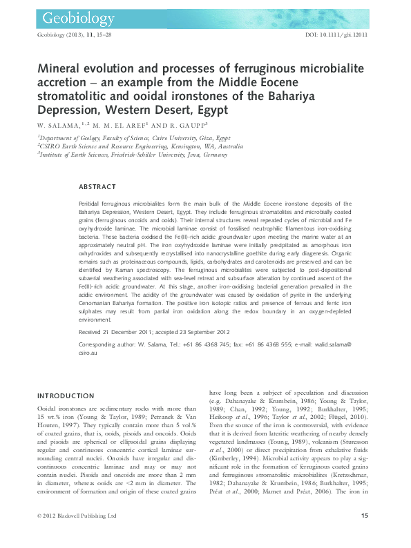(PDF) Mineral evolution and processes of ferruginous microbialite ...