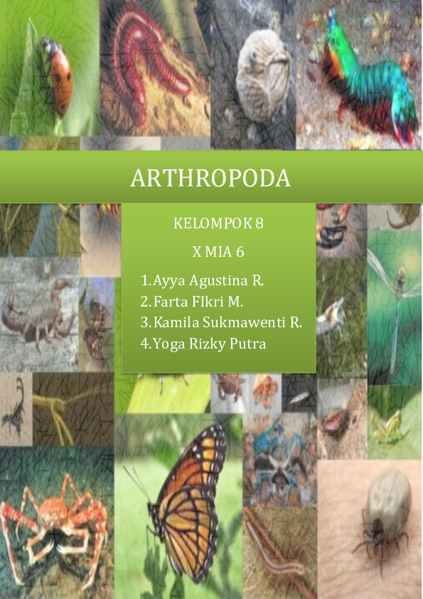 (DOC) ARTHROPODA