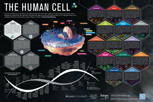 (PDF) Life Science Poster | h¡RU HanAtO - Academia.edu