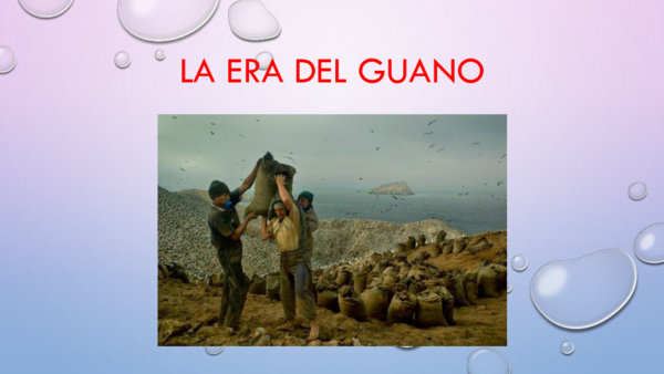 (PDF) LA ERA DEL GUANO