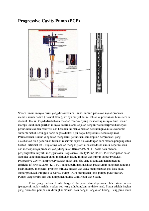 (DOC) Progressive Cavity Pump (PCP