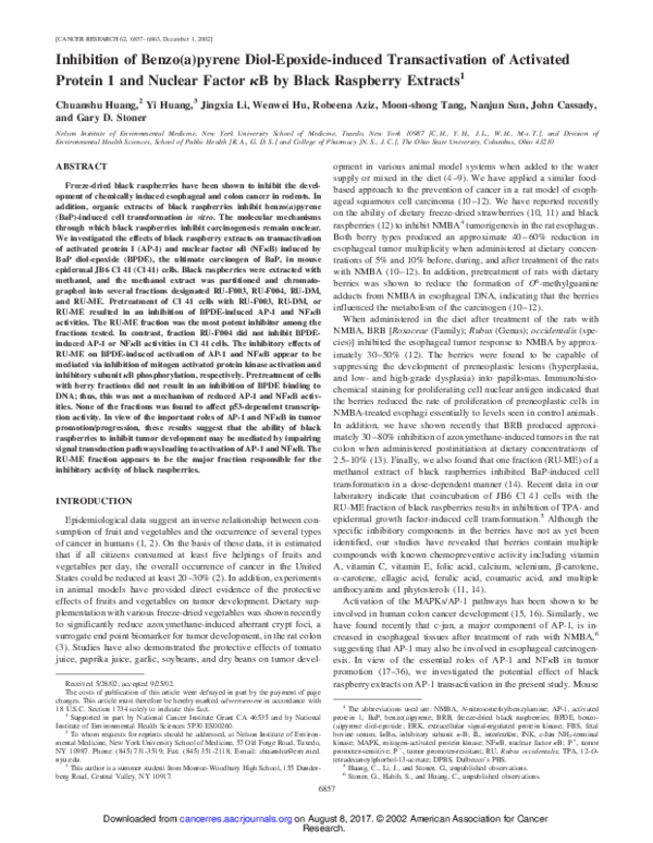 (PDF) Inhibition of benzo(a)pyrene diol-epoxide-induced transactivation ...
