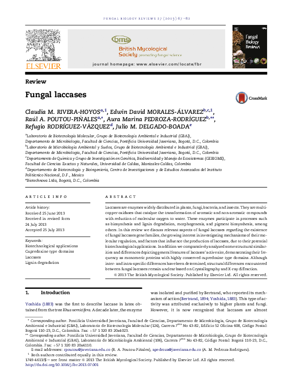 (PDF) Fungal laccases