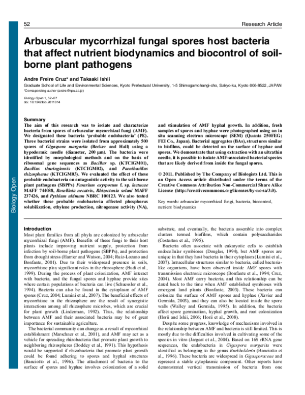 (PDF) Arbuscular mycorrhizal fungal spores host bacteria that affect nutrient biodynamics and ...