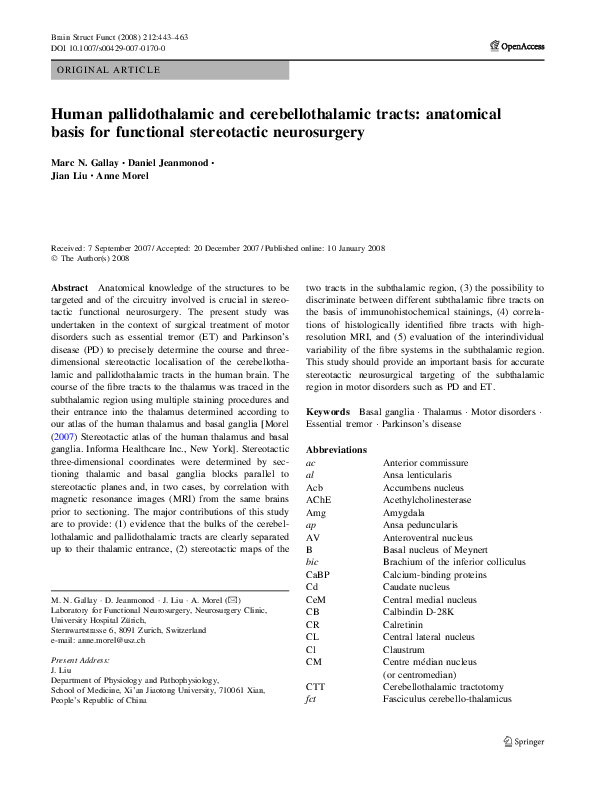 (PDF) Anatomical and Technical Reappraisal of the Pallidothalamic ...