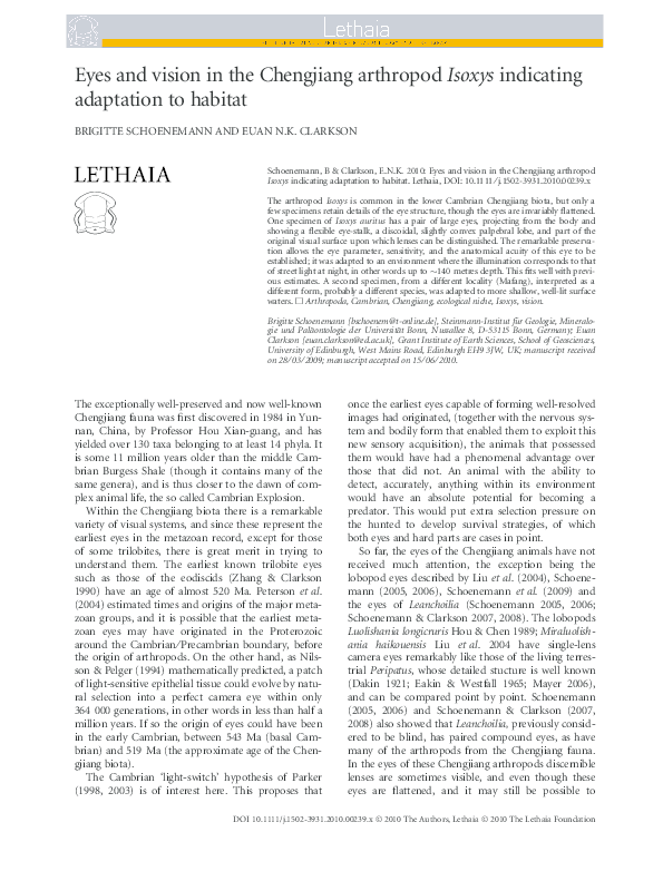 (PDF) Eyes and vision in the Chengjiang arthropod Isoxys indicating ...