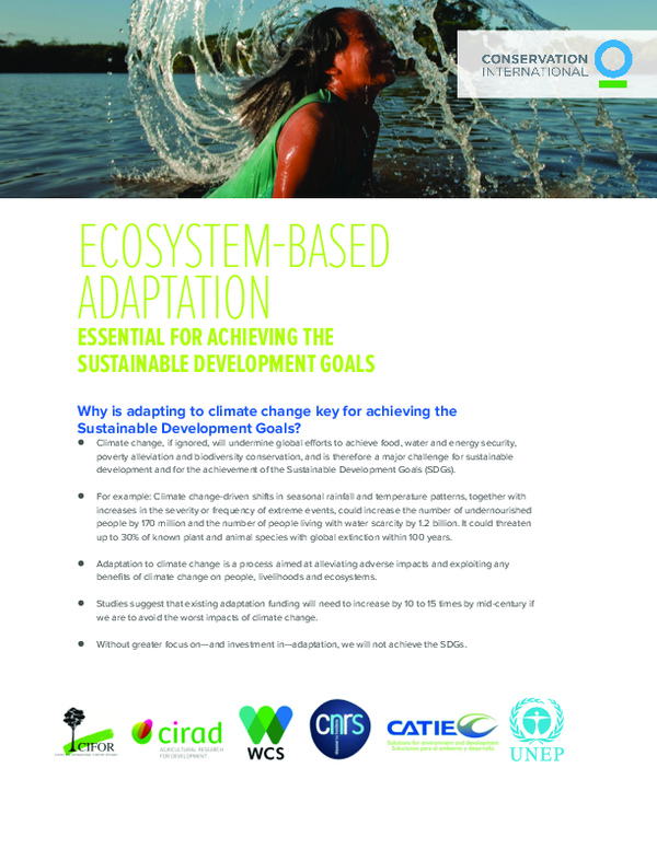 (PDF) Ecosystem-based adaptation: Essential for achieving the ...