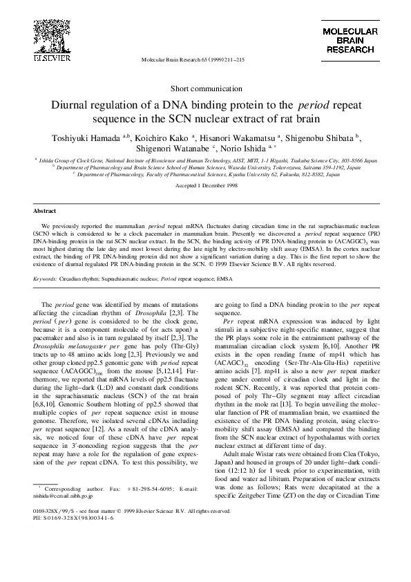 (PDF) Diurnal regulation of a DNA binding protein to the period repeat ...