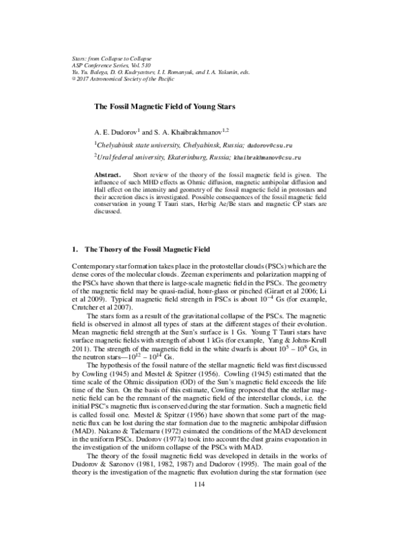 (PDF) The Fossil Magnetic Field of Young Stars