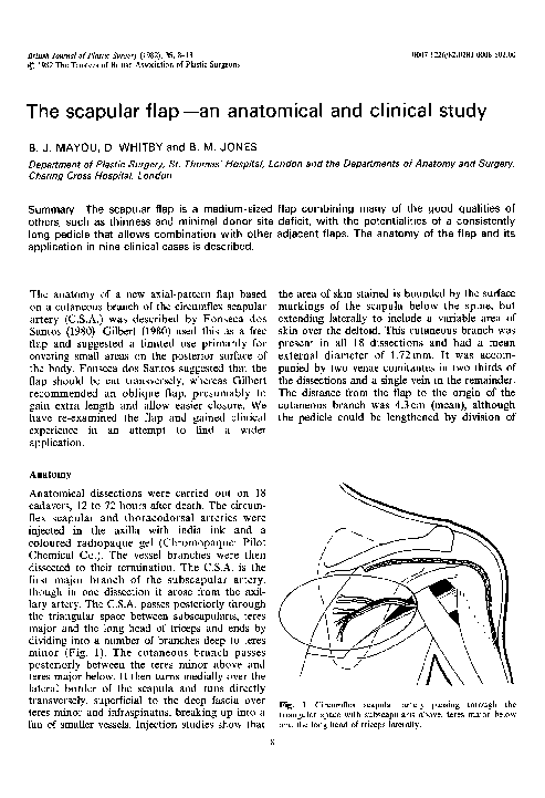 (PDF) The scapular flap—an anatomical and clinical study