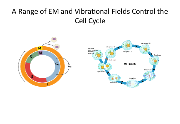 (PPT) Presentation for PIERS Conference St Petersburg 2017