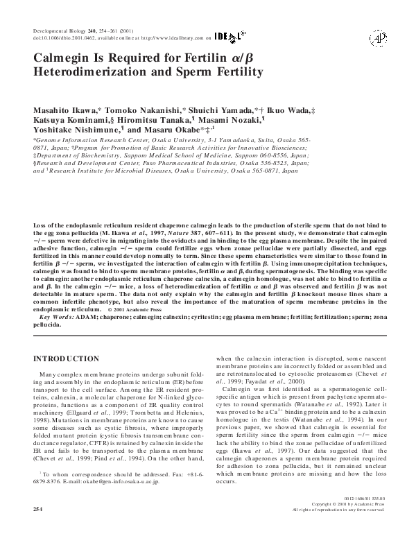 (PDF) Calmegin Is Required for Fertilin α/β Heterodimerization and ...