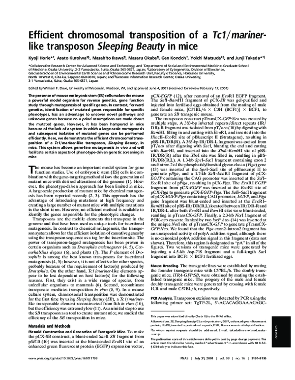 (PDF) Efficient chromosomal transposition of a Tc1/mariner- like ...