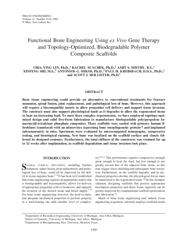 Pdf Functional Bone Engineering Using Ex Vivo Gene Therapy And Topology Optimized