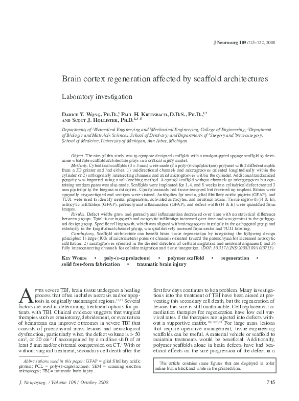 (PDF) Brain cortex regeneration affected by scaffold architectures