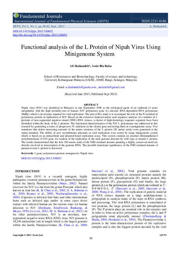 (PDF) Functional analysis of the L Protein of Nipah Virus Using ...