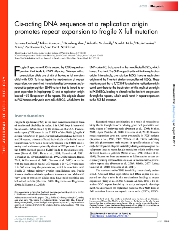 (PDF) Cis-acting DNA sequence at a replication origin promotes repeat ...